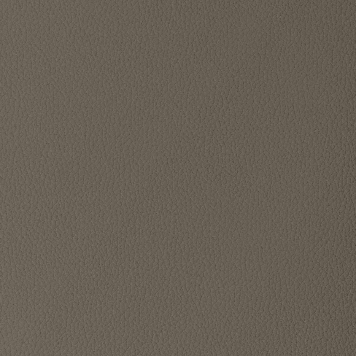 Xtreme Dark Gray XTR-609 | Rushin Upholstery Supply